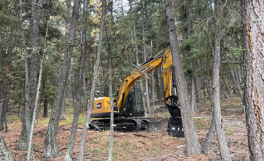 SANY Excavators Designed for Demanding Forestry Work